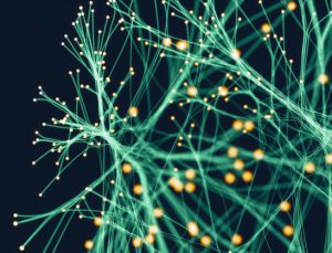 New MLPerf Inference Benchmark Results Highlight The Rapid Growth of ...
